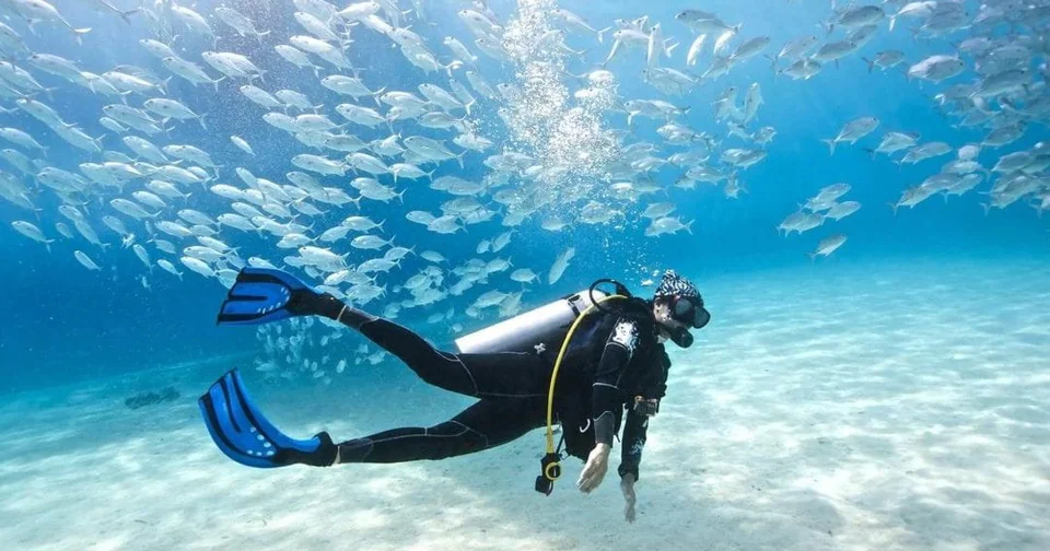Busan Dive Center